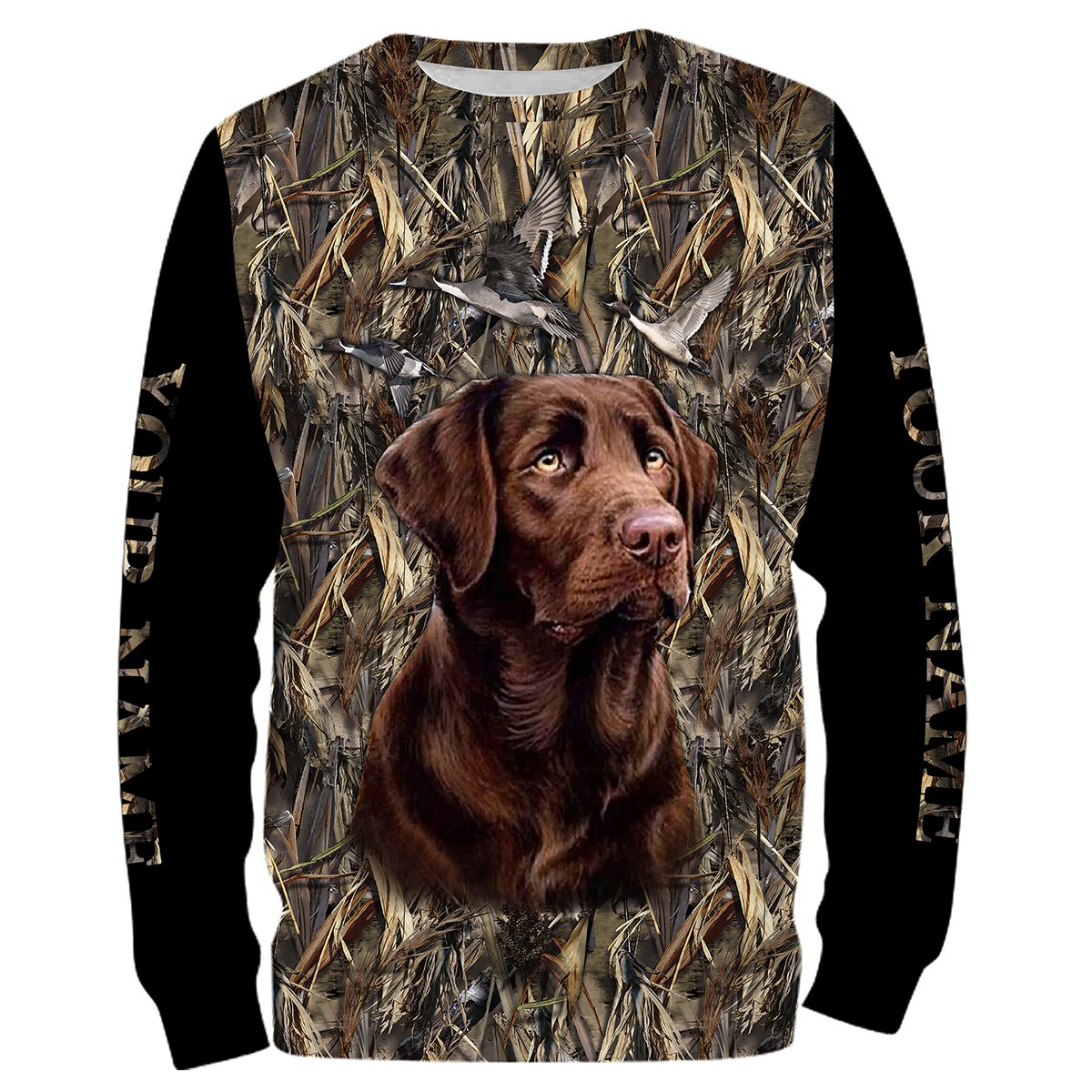 Chocolate Labrador Hunting